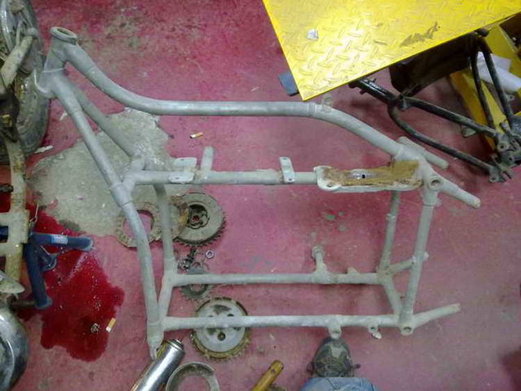 Douglas frame model?